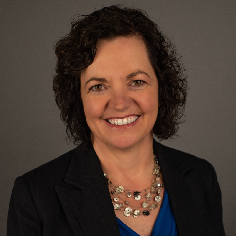 Board of Directors - somersetpulaskichamber